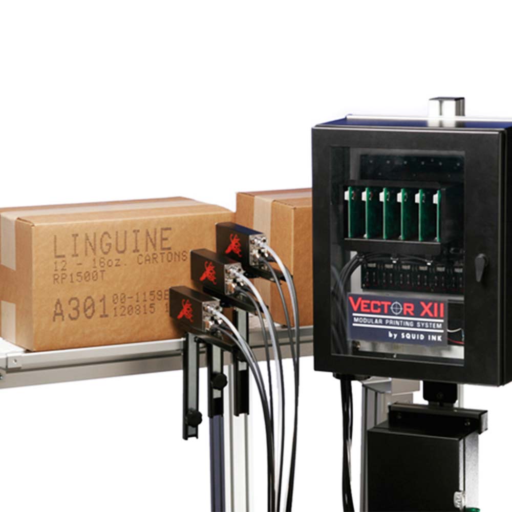 Large Character Printing System : Classification | Print & Pack Solution Sdn Bhd | Malaysia